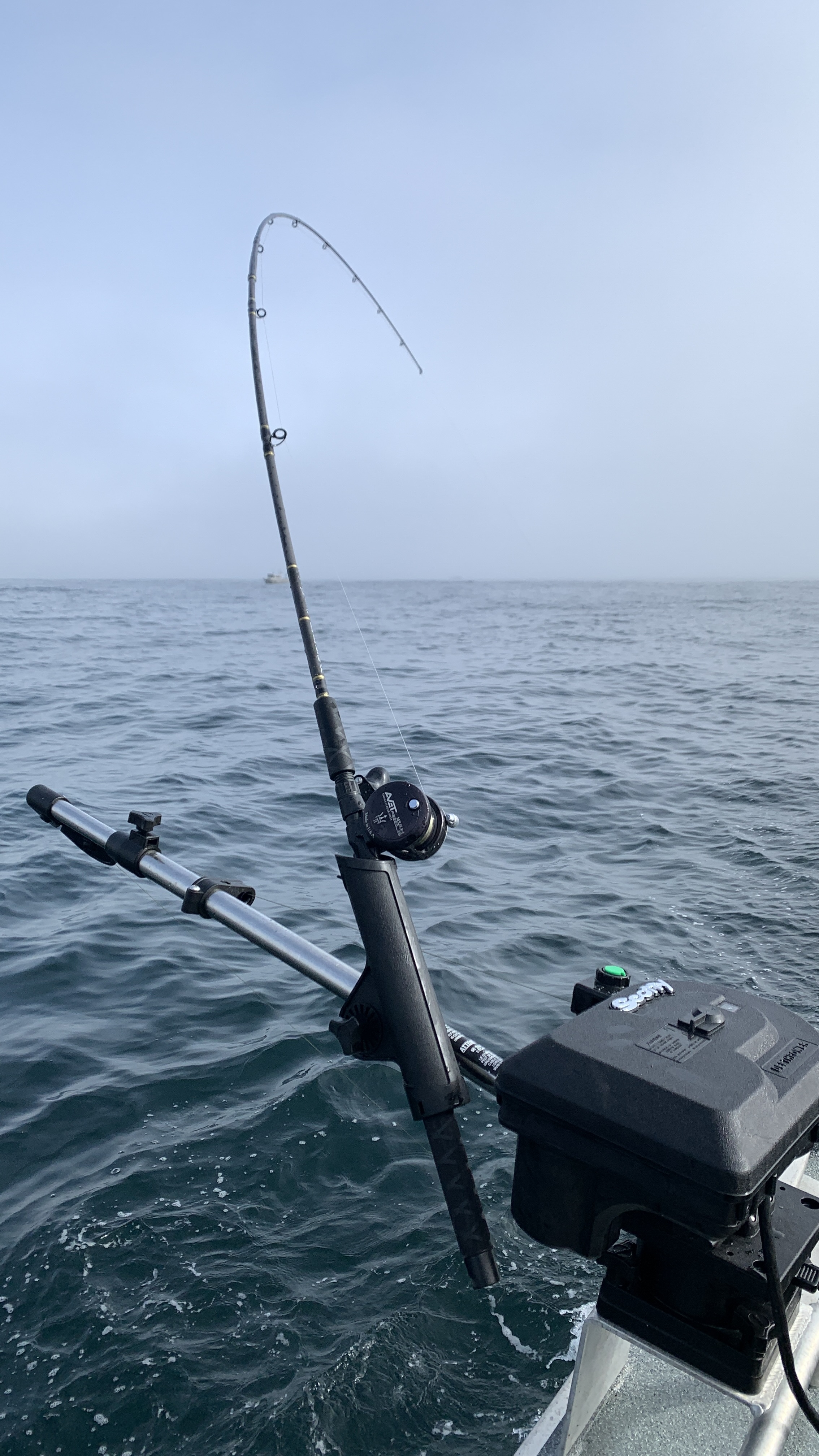 Gustavus, Alaska 2023 – Ham Radio Venture Overland